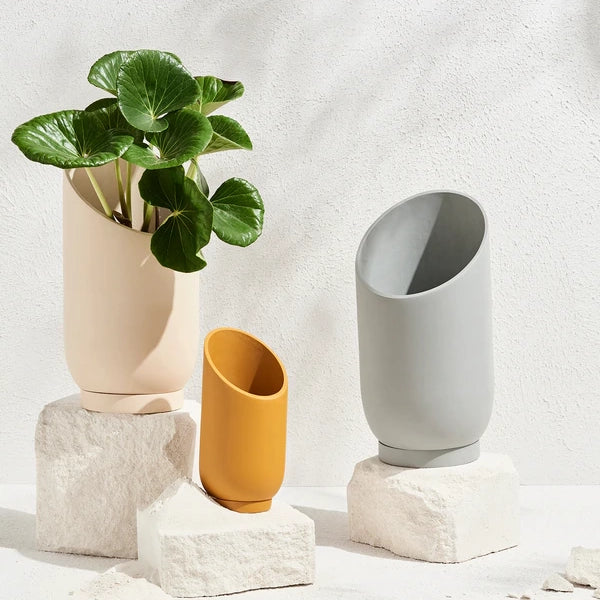 Capra designs – SISU